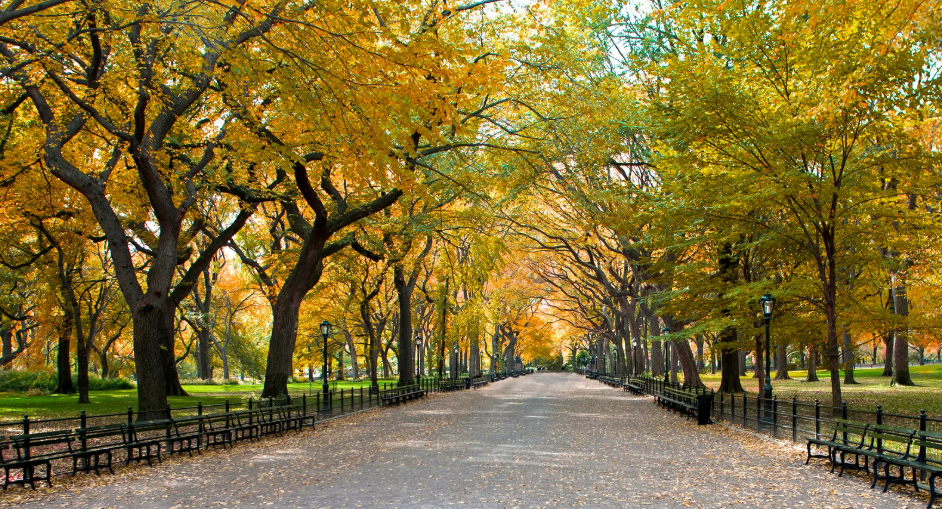 Best Time to Visit New York City: Seasons & Price | Travly