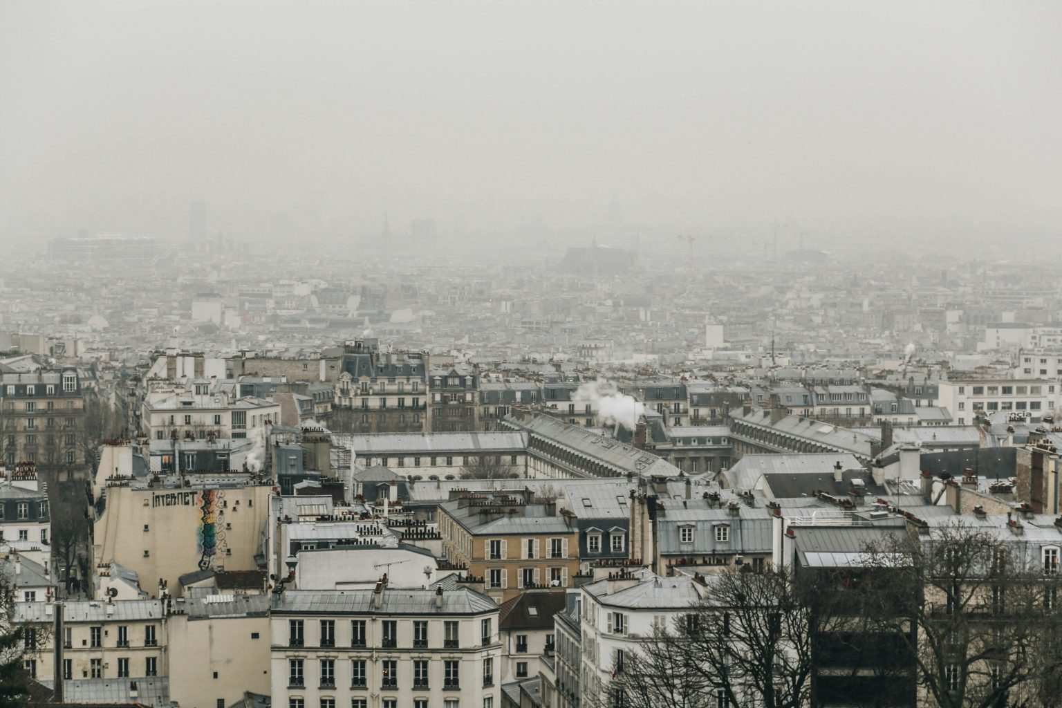Best Time to Visit Paris: Weather, Crowds & Hotels | Travly